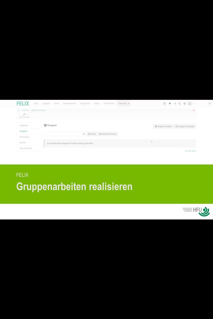FELIX - Gruppenarbeiten realisieren - Studieren an der HFU - Kategorien ...